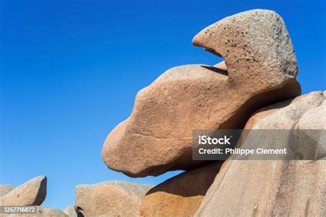 코트 드 화강암 장미 핑크 화강암 해안 코트 다아르머 브리트니 프랑스를 따라 이상한 암석 형성과 물 바람이 침식 바위 0명에 대한 스톡 사진 및 기타 이미지 Istock