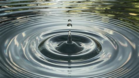 Premium Photo Ripple Effect Created By Water Drop