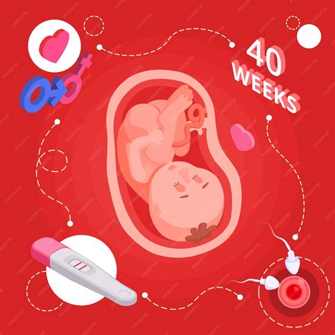 Premium Vector Sex Education Isometric Concept