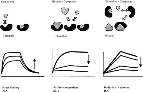 Three Assay Formats In Dba And Sca Thrombin Is Immobilized And Download Scientific Diagram