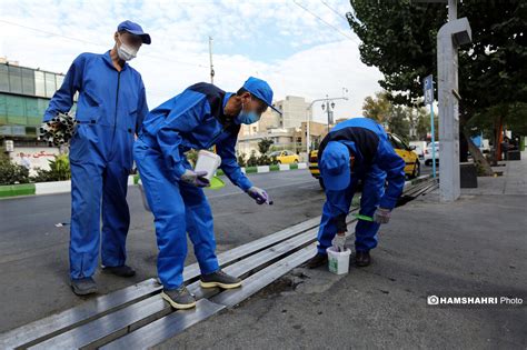 مبارزه تن به تن با لشکر موش های موذی در جوی های تهران گور دسته جمعی