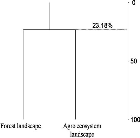 Bray Curtis Cluster Analysis Single Link For Tree Species Similarity