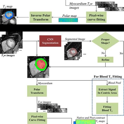 A Automated T2 Mapping Pipeline A Deep Fully Convolutional Neural Download Scientific