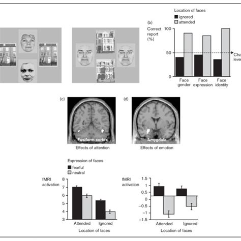 Pdf Facial Expression And Selective Attention