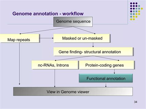 Genome Annotation 2013 Ppt Genetics Science