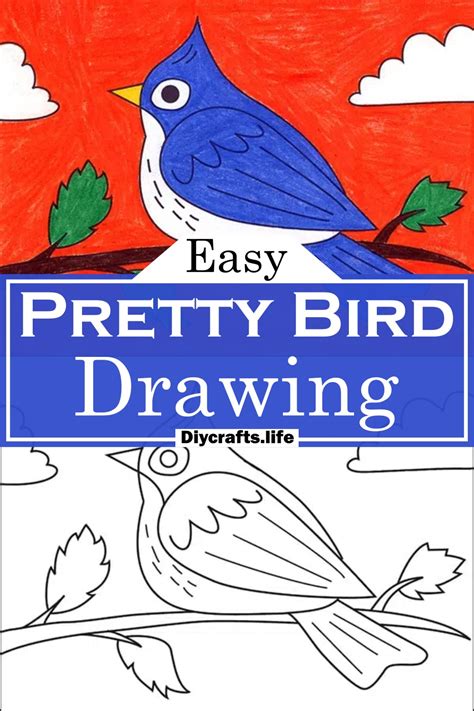 28 Easy Bird Drawings Ideas Step By Step Guide Diy Crafts