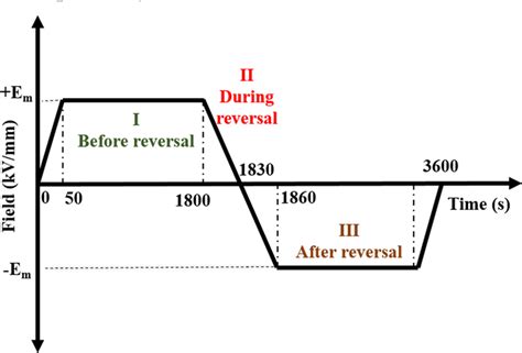 Procedure For Reversal Of Polarity Download Scientific Diagram