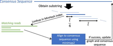 Contig Generation Process A Substring Of The Current Consensus