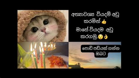 පොඩි පඩියකින් මම කොහොමද ජීවත් වෙන්නේ මාසේ වියදම අඩු කර ගමු 👍 🤗 Youtube