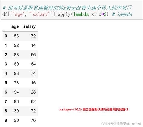 在dataframe上应用apply方法的一些例子的处理细节 style apply函数为什么不能被 dataframe 调用 csdn博客