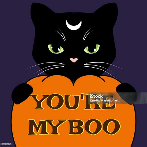 검은 고양이와 조각 호박 할로윈 카드입니다 벡터 일러스트레이션 10월에 대한 스톡 벡터 아트 및 기타 이미지 10월 가공의 인물 가을 Istock