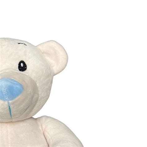 Ursinho Lua Bicho Pelúcia De Tabatinga Capital Nacional Do Bicho De Pelúcia