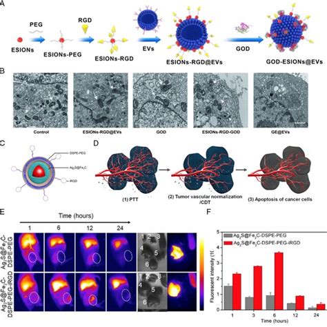 Targeted Engineering Of Nanozyme‐based Systems To Facilitate Enhanced Download Scientific
