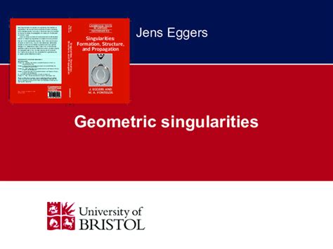 Pdf Singularities Formation Structure And Propagation