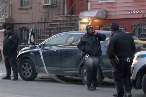 24 Year Old Man Stabbed To Death In Bushwick Nypd
