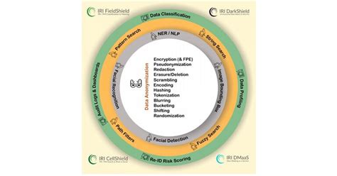 Iri Announces Version 6 Of The Fieldshield Data Masking Tool