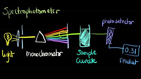 Spectrophotometer How It Works