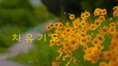 분당차병원 원목실 환우를 위한 치유기도6 Youtube