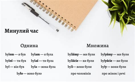 Часи у польській мові минулий теперішній і майбутній Polish