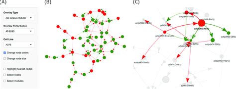 Graph Representation Of The Network Perturbations A Input Panel To