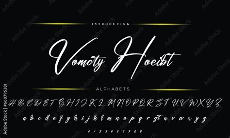 Hand Drawn Vector Alphabet Script Font Isolated Letters Written With