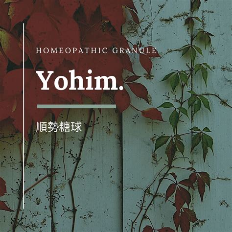 順勢糖球Yohim 食在自在心空間Spaco