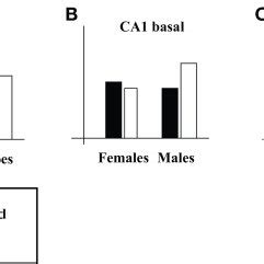 Illustration Of The Effects Of Acute Stress On Sex Differences In Download Scientific Diagram
