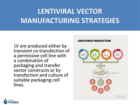 PPT Nature Of Parental Lentiviruses Impact On Lentiviral Vector Development PowerPoint