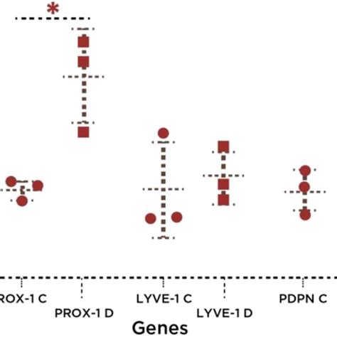 Migration Assay A Scratch Migration Assay Evaluation Of The Migration Download Scientific