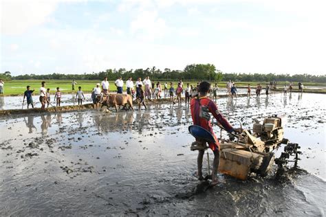 မောင်တောမြို့တွင် ခရိုင်စီမံအုပ်ချုပ်ရေးအဖွဲ့ဥက္ကဋ္ဌ ဦးနေဦးနှင့