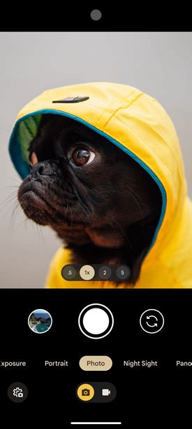 Google Pixel Software Update Verizon Customer Support