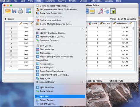 SPSS Tutorial Data Modification In SPSS Resourceful Scholars Hub