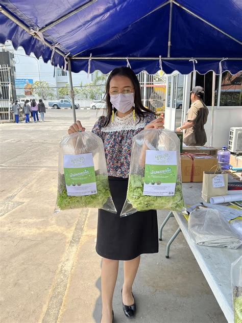 สด ส่งตรง ผักอินทรีย์ ที่ปลูกด้วยเทคโนโลยี Iot จาก สวนพูนสุข