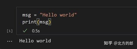 VS Code 中的 Jupyter Notebook 知乎