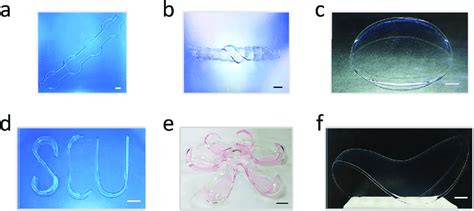 Complex 3d Shapes Deformed From 2d Patterned Hydrogel Sheets A A