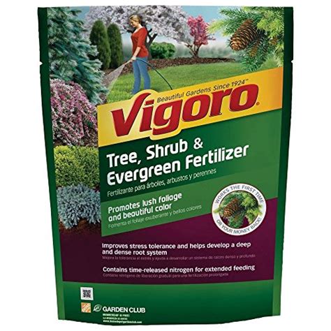 Best Fertilizer Spikes For Trees And Shrubs