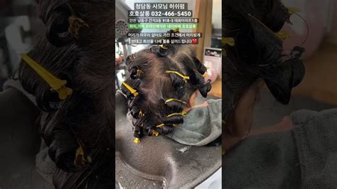 머리가 얇아도 무조건 살려주는 장인 허쉬펌 청담동사모님머리 허쉬컷 지라시 지라시펌 Youtube