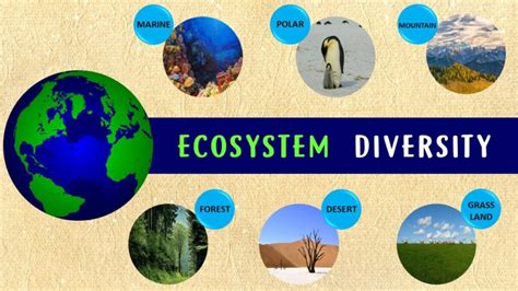 Ecosystem Diversity Biology Simple
