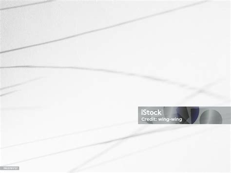 그림자 배경 효과 모형 프레임 추상적 인 기술 사업 블랙 회색 그늘 디자인 흐림 시멘트 벽 바닥 최소한의 빈 배경 오버레이 빛 자연 나뭇잎 창 화이트 템플릿 여름 개체