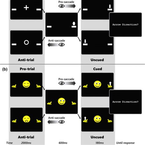 Typical Trial In Each Experimental Condition Examples Of A Typical