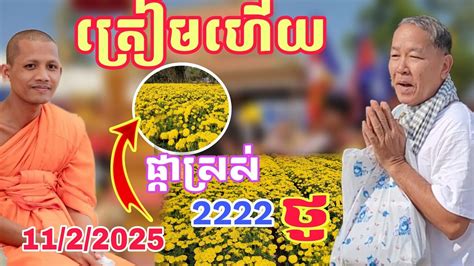 ត្រៀមហេីយល្ងាចនេះបុណ្យមាឃបូជា ក្រាំងដីមាសtv Youtube