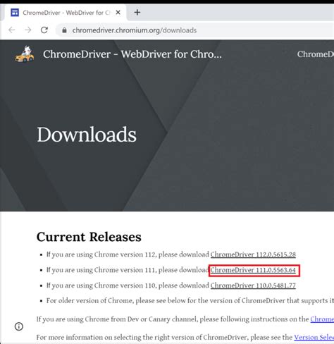 Seleniumbasicの操作（基礎編）第1回：seleniumbasic インストール Programan