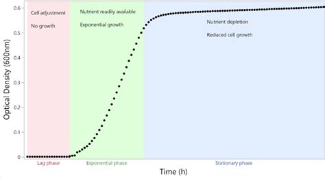 Nonlinear Regression Modeling For Cell Growth Optimization