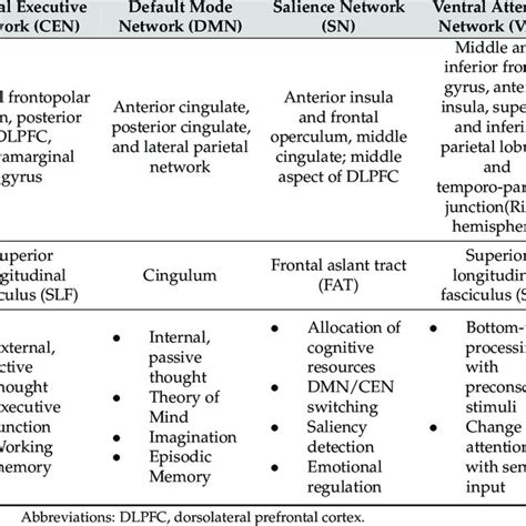 Five Non Traditional Large Scale Brain Networks Download Scientific Diagram