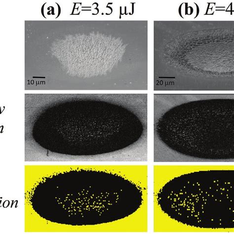 SEM Image EBSD Quality Pattern And Phase Distribution Map Of The Download Scientific Diagram