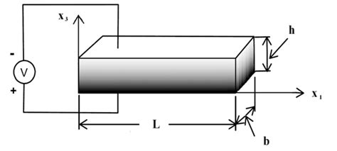 Functionally Graded Piezoelectric Beam Cartesian Coordinate System And