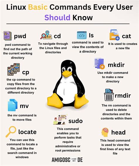 Coding Vision Sql Notes Available On Telegram Link In Bio 🎯 Follow
