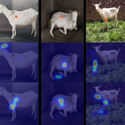 the visualization of training dataset by the t sne algorithm download