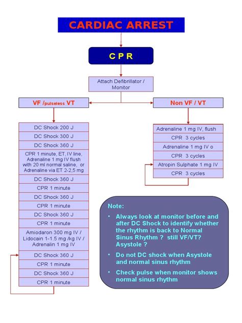Cardiac Arrest Protocols And Procedures Pdf