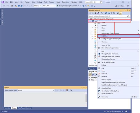 Visual Studio Publish Web Deploy Everleap